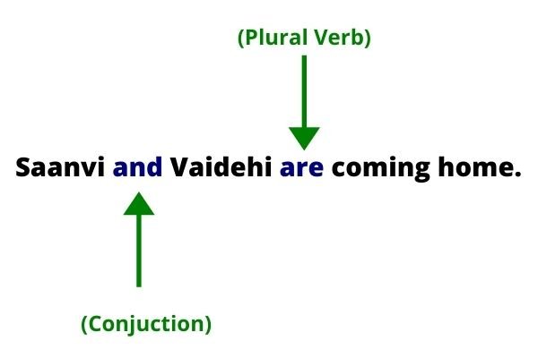 Subject-Verb Agreement For Class 8, Examples, Exercises, Pdf