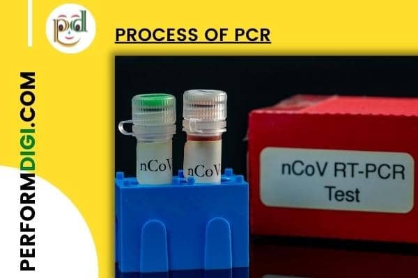 Process of PCR | What is PCR? | How do PCR work? | Stages