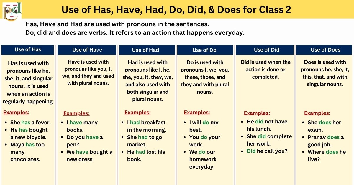 Use of Has, Have, Had, Do, Did, & Does for Class 2
